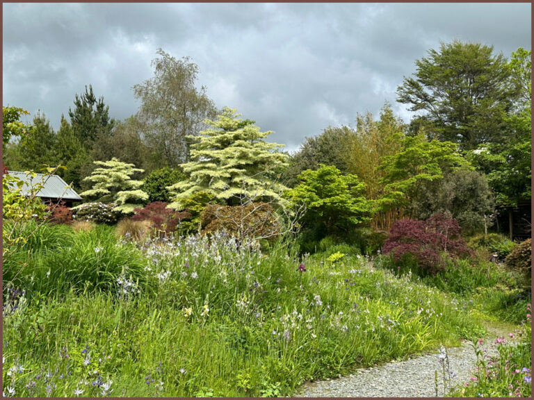 Visit to The Garden House and Wildside – Bridport Gardening Club